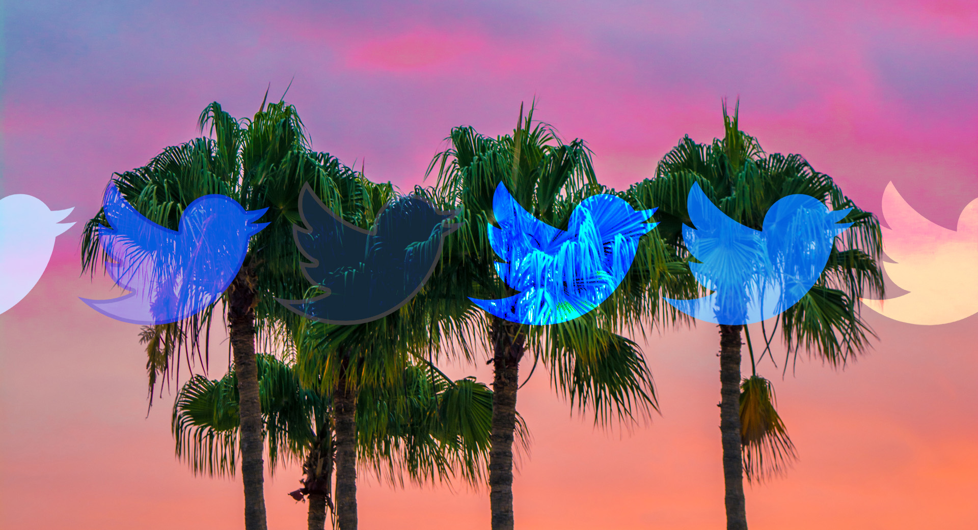 Improved Twitter Embed CSS | Chris David Miles